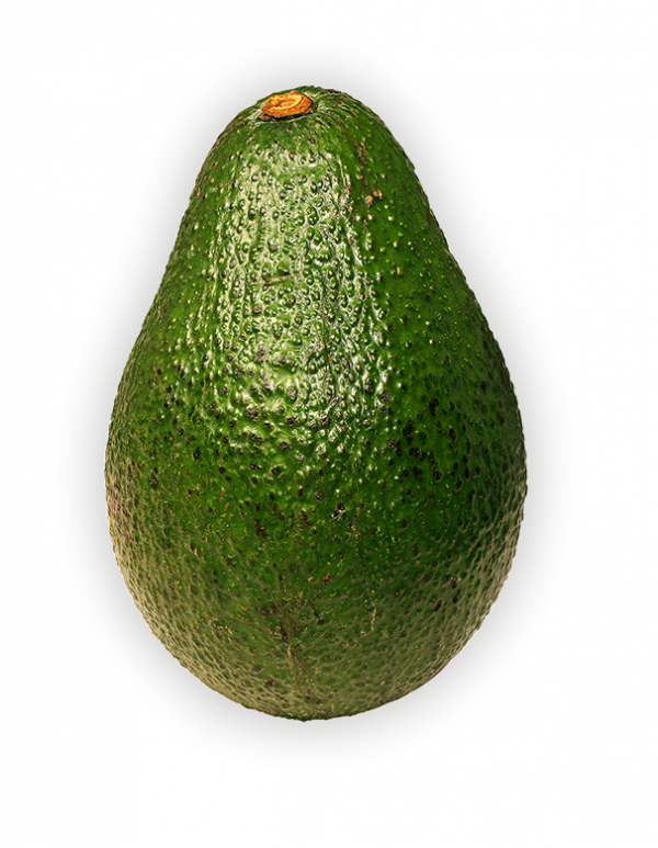Comprar Aguacate Hass